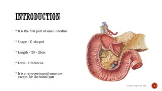 THE Anatomy of Duodenum and Pancreas.pptx