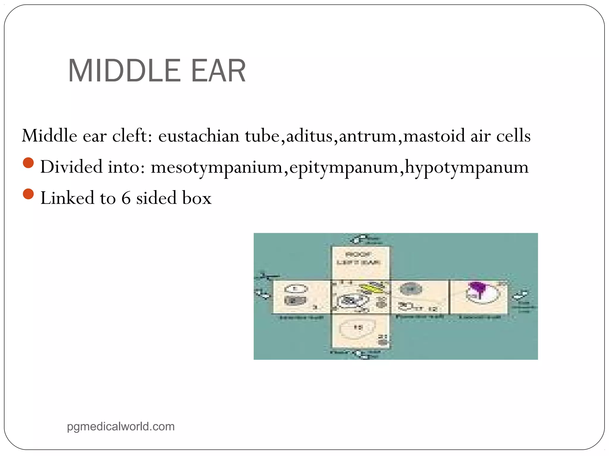 Anatomy of ear | PPT