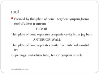 Anatomy of ear | PPT