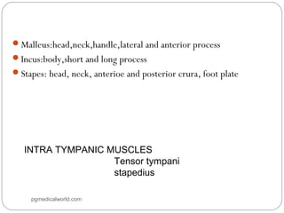 Anatomy of ear | PPT
