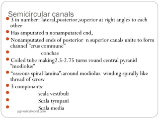 Anatomy of ear | PPT