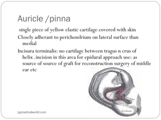 Anatomy of ear | PPT