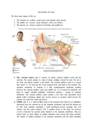 Anatomy of ear | DOCX
