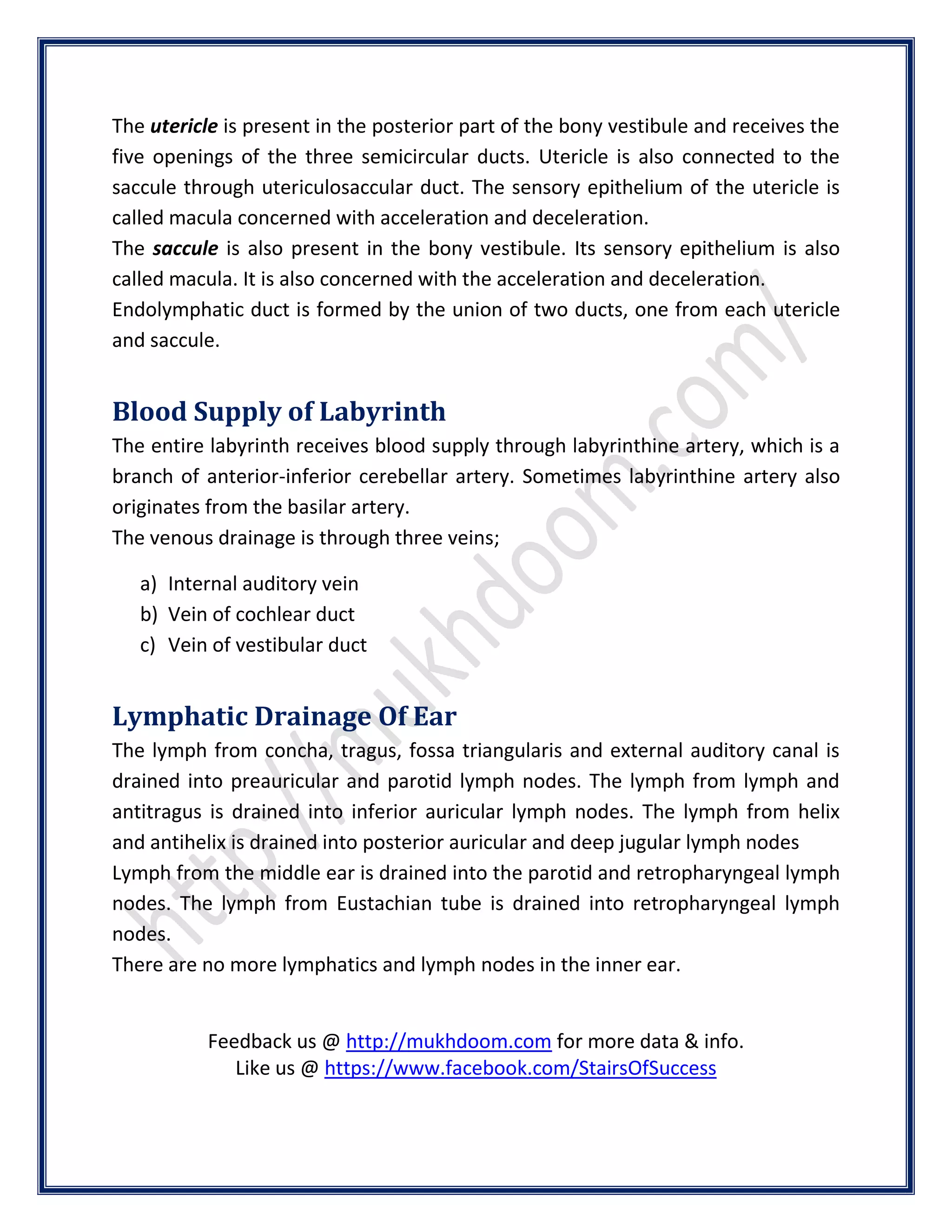 Anatomy of Ear | SurgicoMed.com