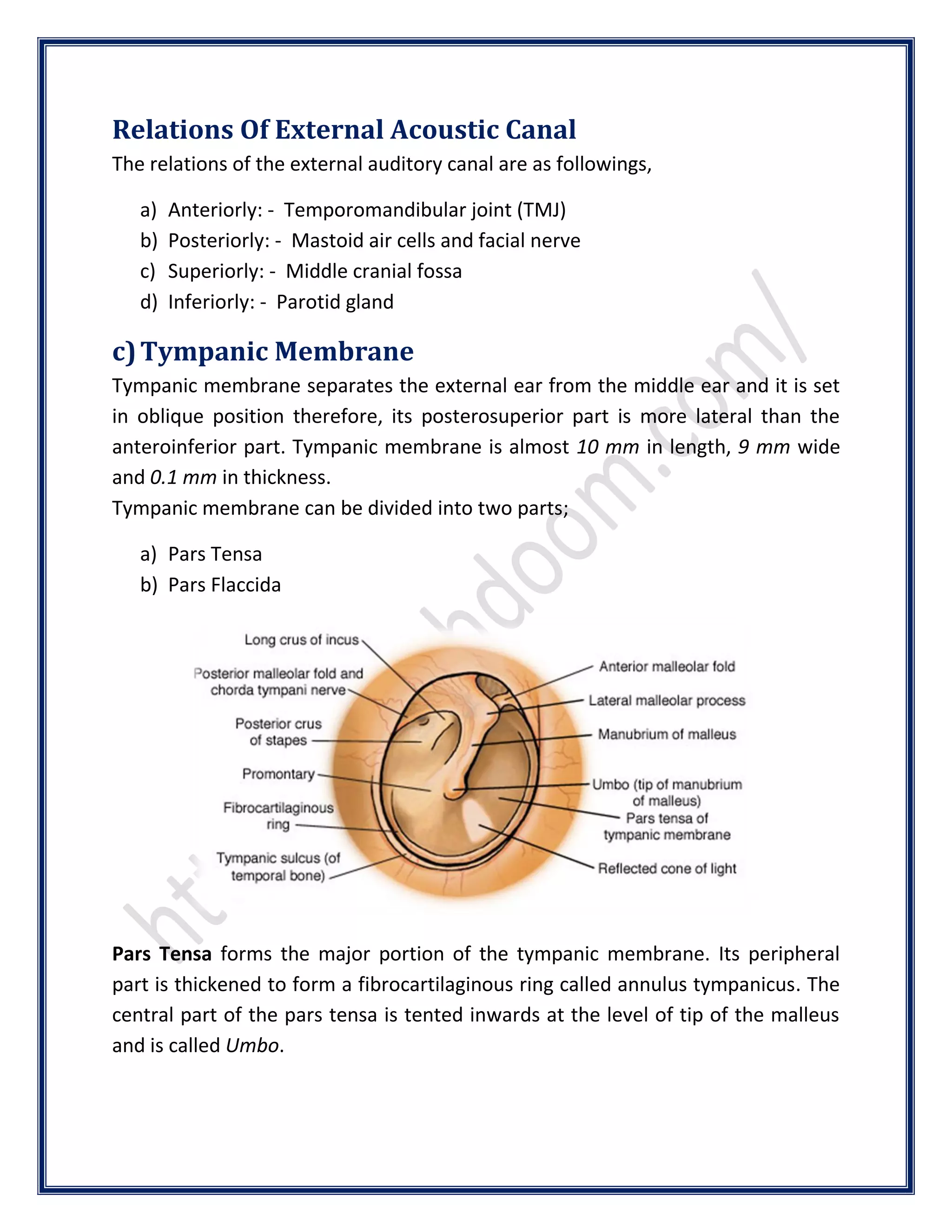Anatomy of Ear | SurgicoMed.com