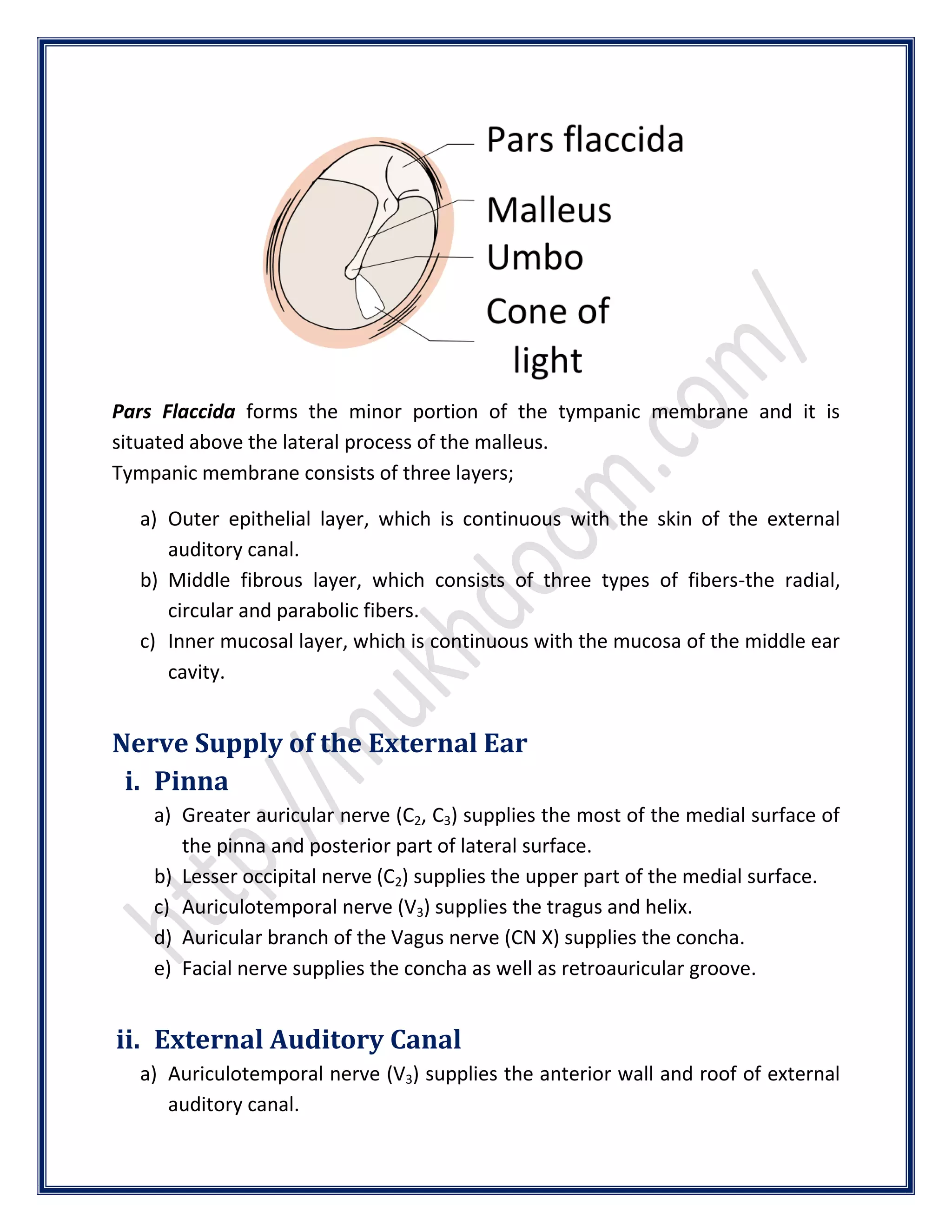 Anatomy of Ear | SurgicoMed.com