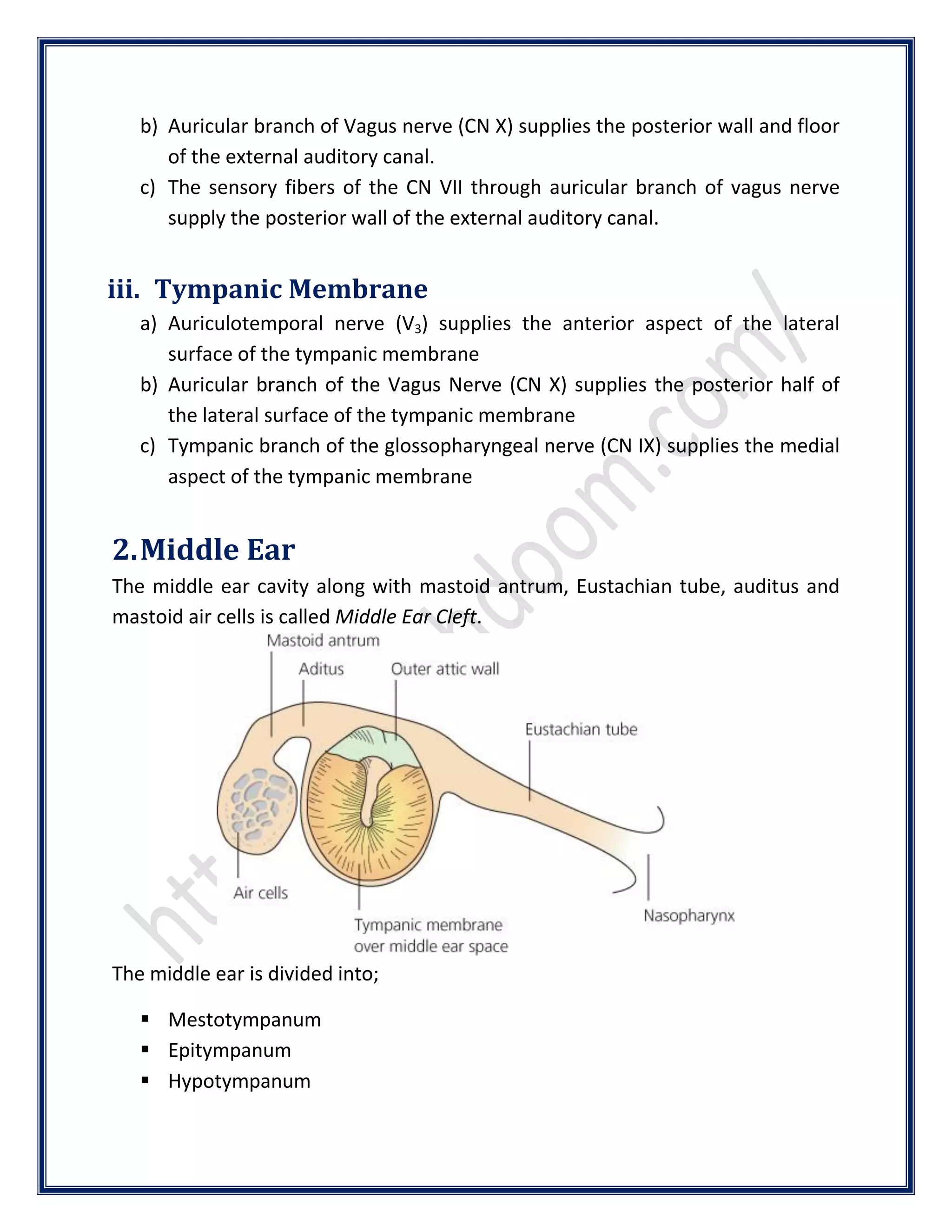 Anatomy of Ear | SurgicoMed.com