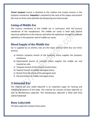Anatomy of Ear | SurgicoMed.com