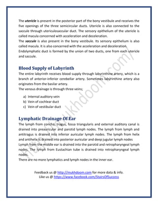 Anatomy of Ear | SurgicoMed.com