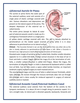 Anatomy of Ear | SurgicoMed.com