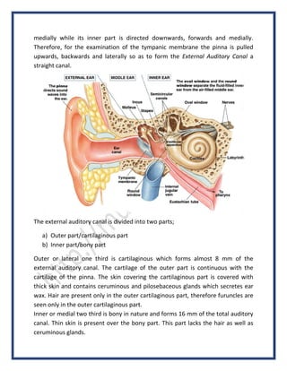 Anatomy of Ear | SurgicoMed.com