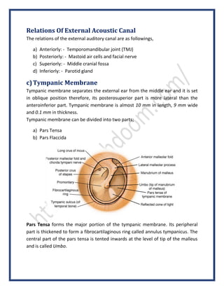 Anatomy of Ear | SurgicoMed.com