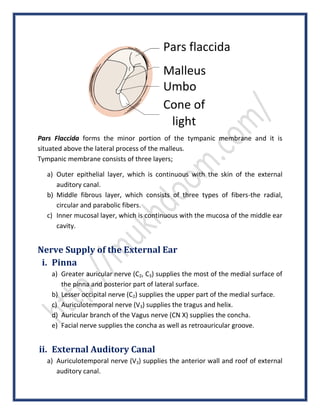Anatomy of Ear | SurgicoMed.com