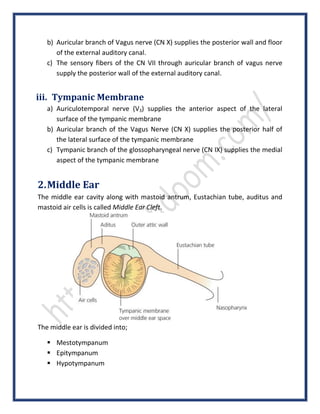 Anatomy of Ear | SurgicoMed.com