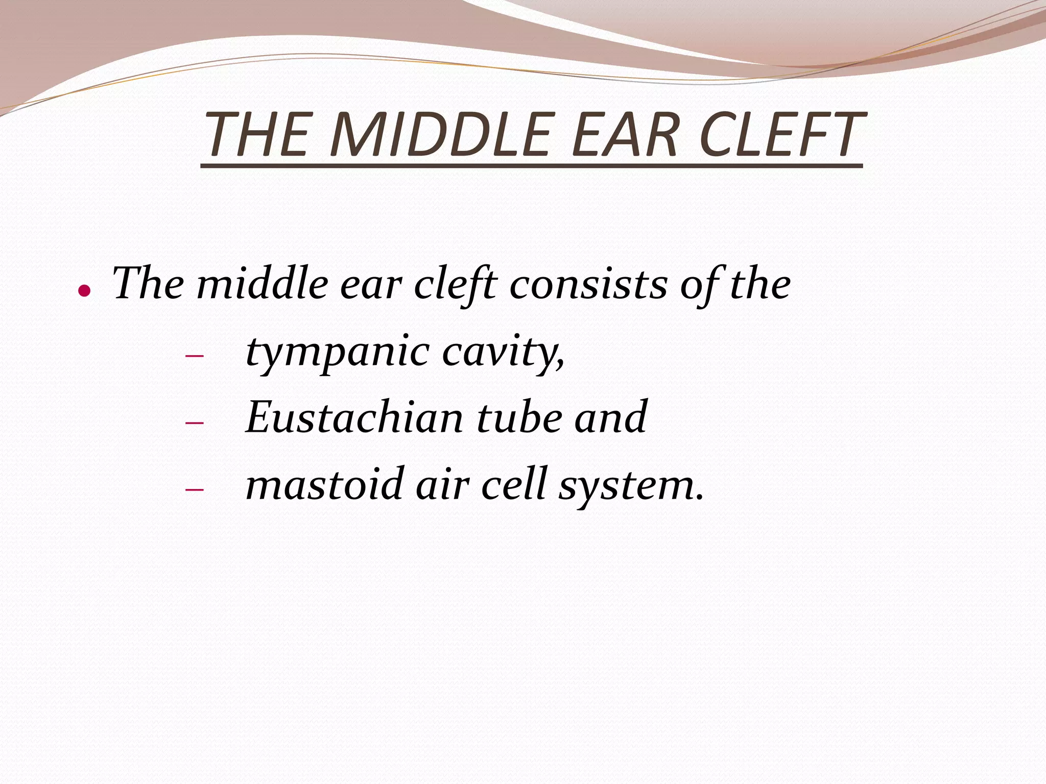 Anatomy of ear | PPTX