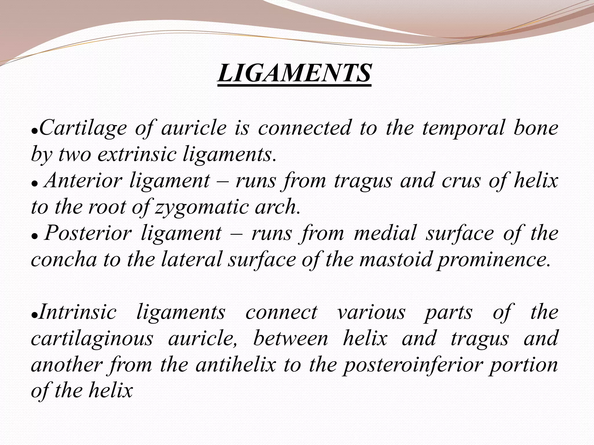 Anatomy of ear | PPTX