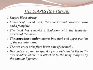 Anatomy of ear | PPTX