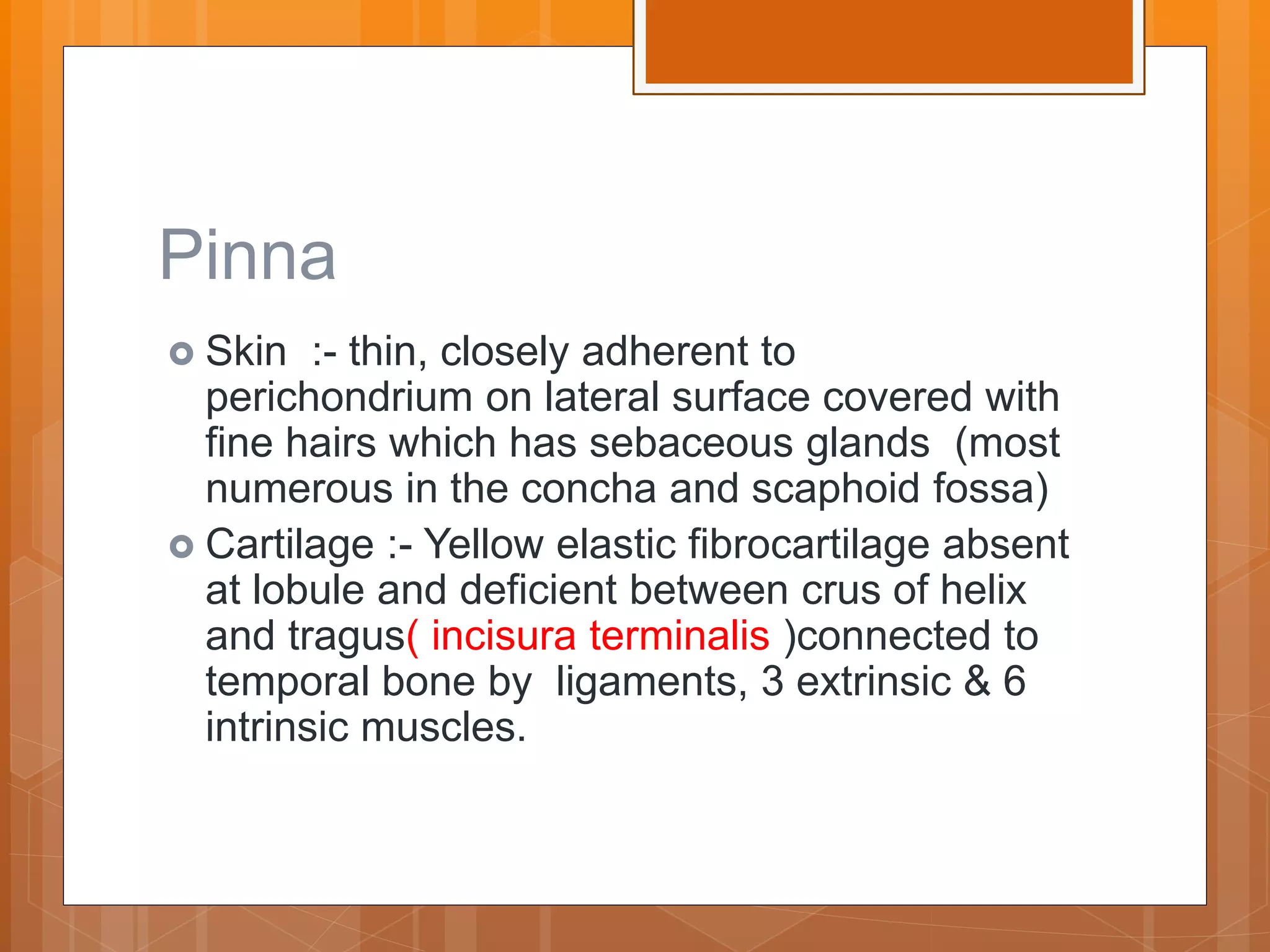 Anatomy of ear | PPTX