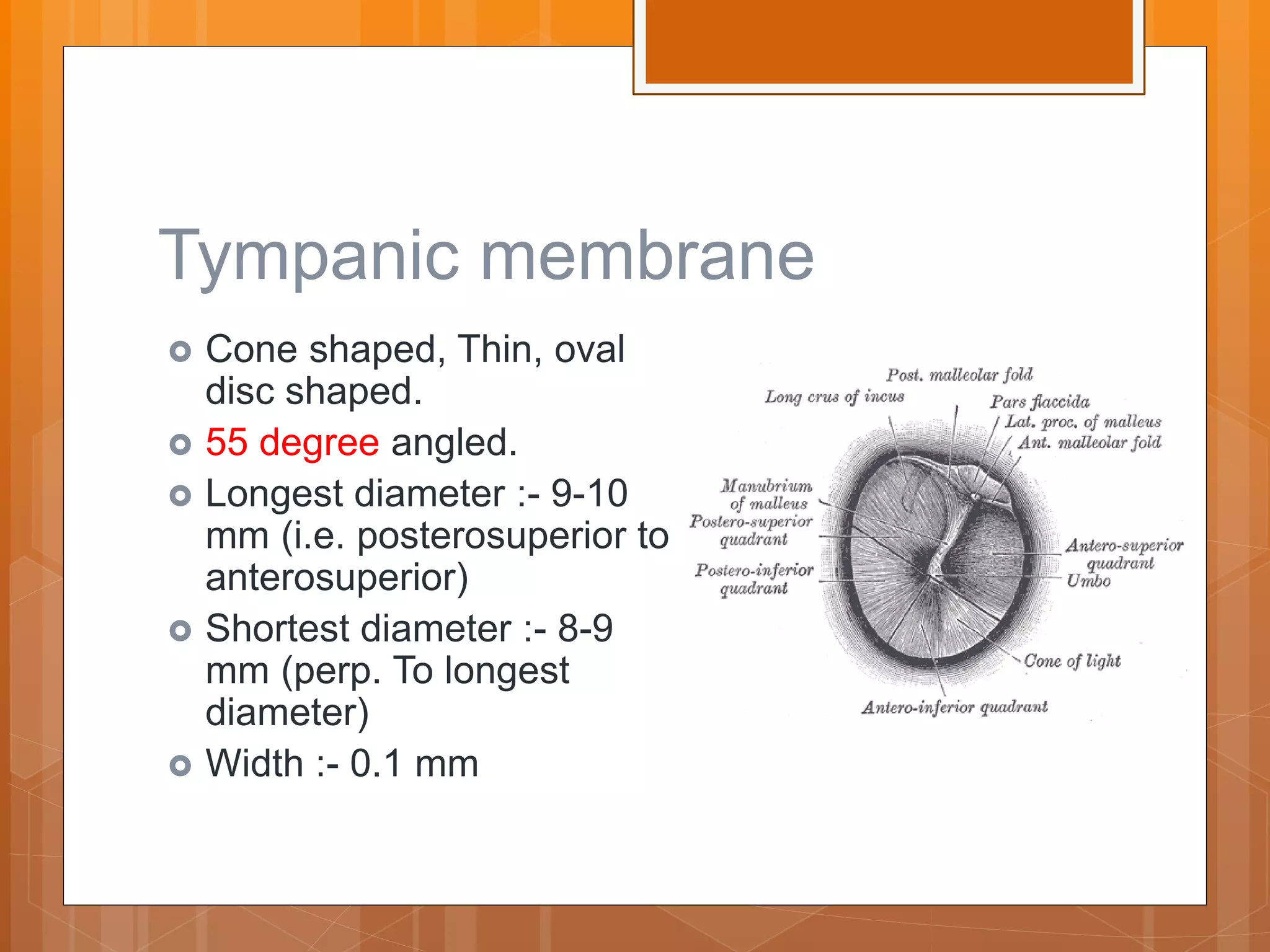 Anatomy of ear | PPTX