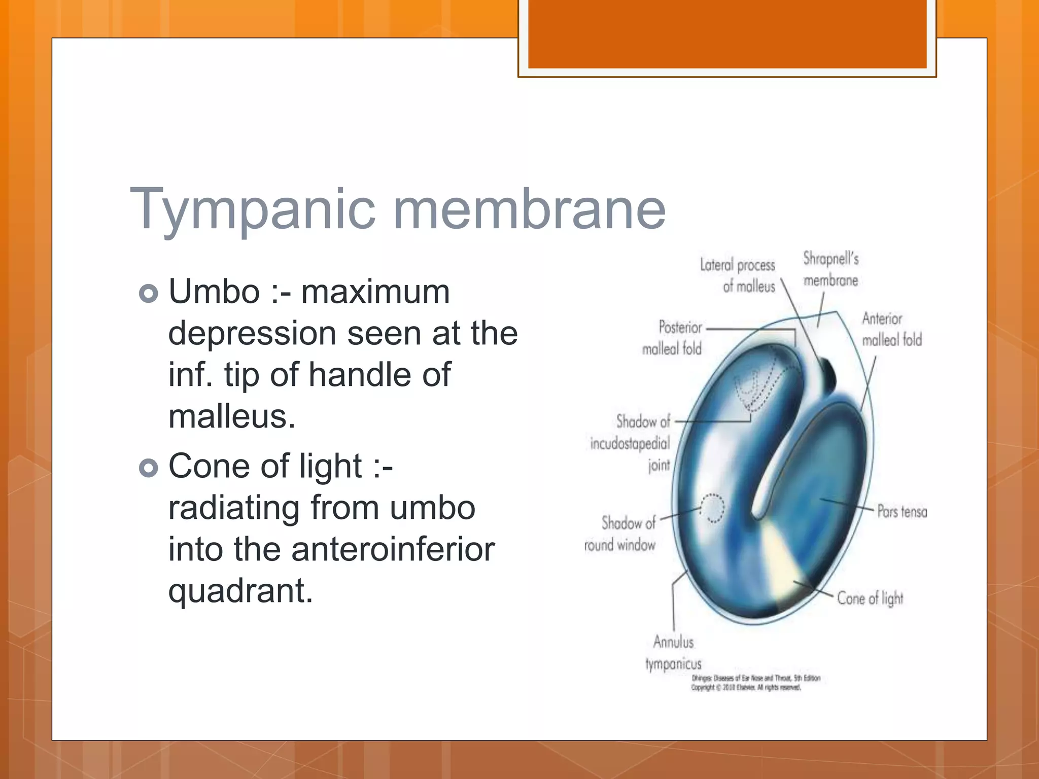 Anatomy of ear | PPTX
