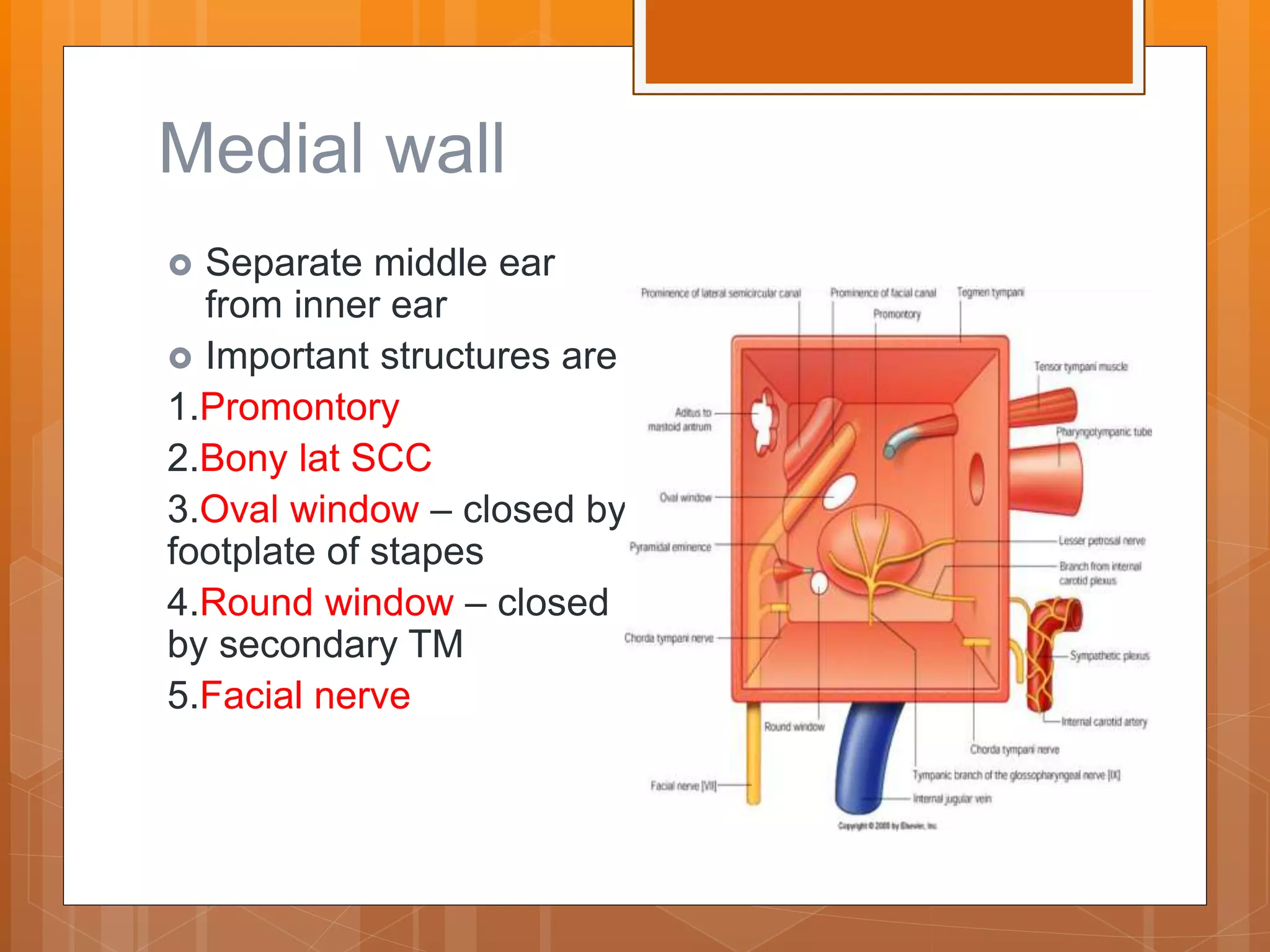 Anatomy of ear | PPTX