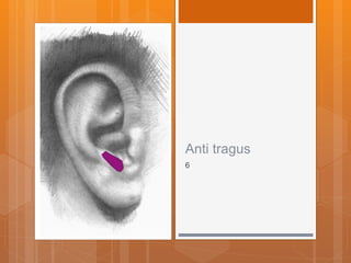 Anatomy of ear | PPTX