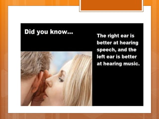 Anatomy of ear | PPTX