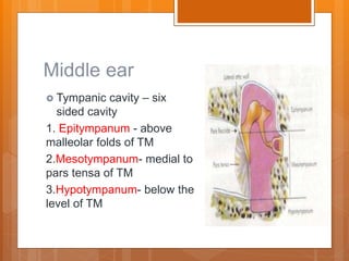 Anatomy of ear | PPTX