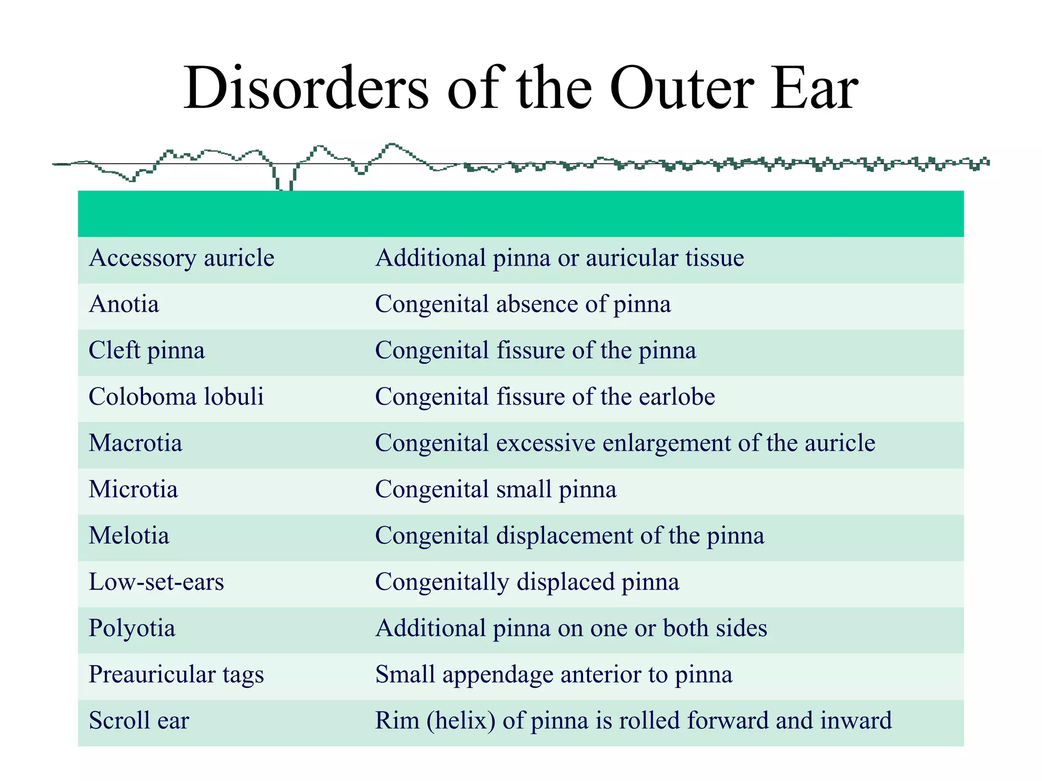 Anatomy of the Ear | PPT