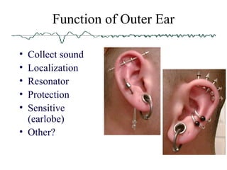 Anatomy of the Ear | PPT