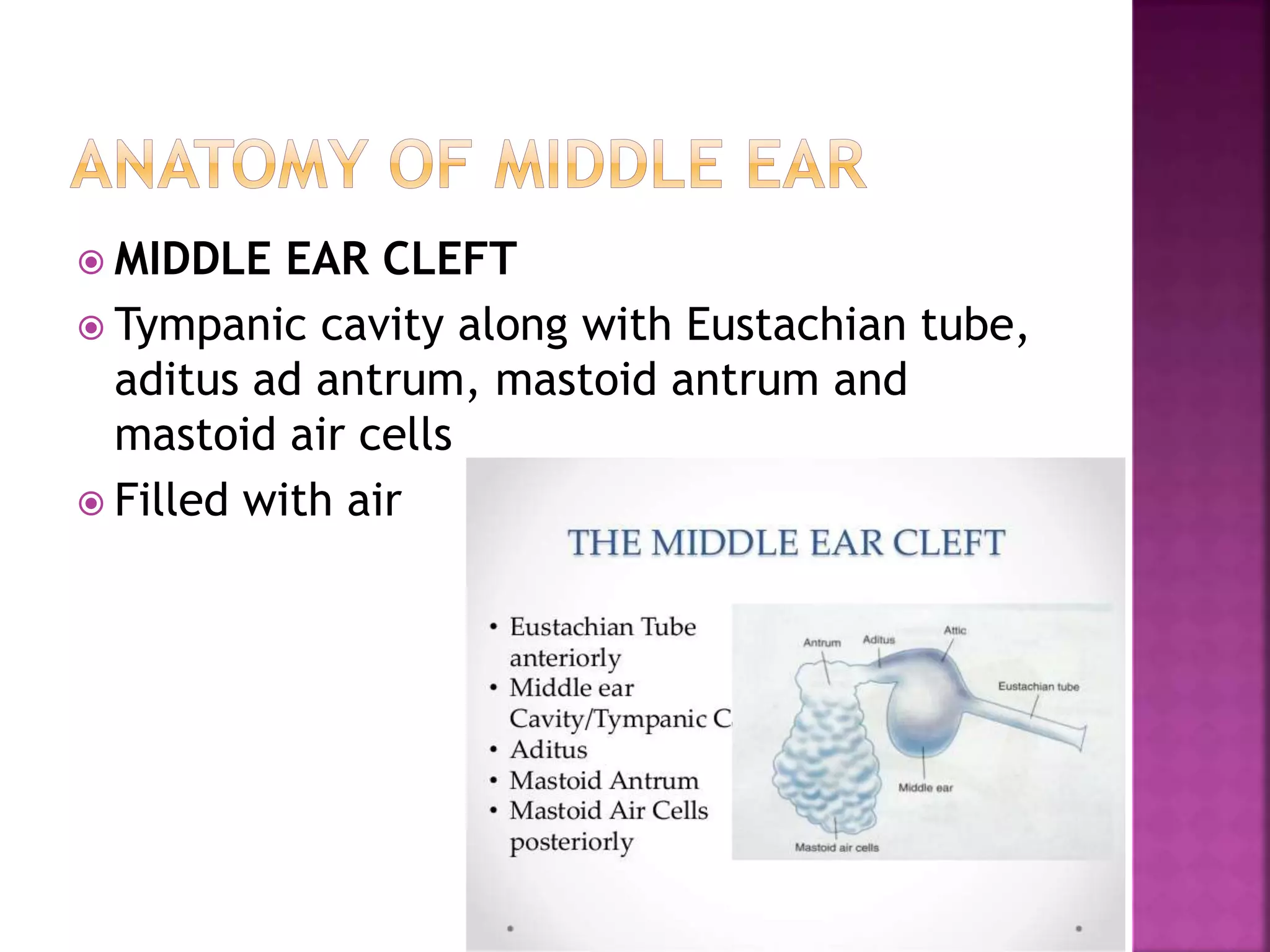 Anatomy of ear | PPTX