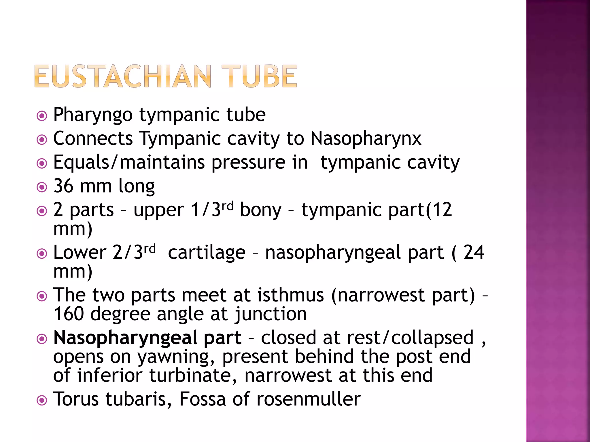 Anatomy of ear | PPTX