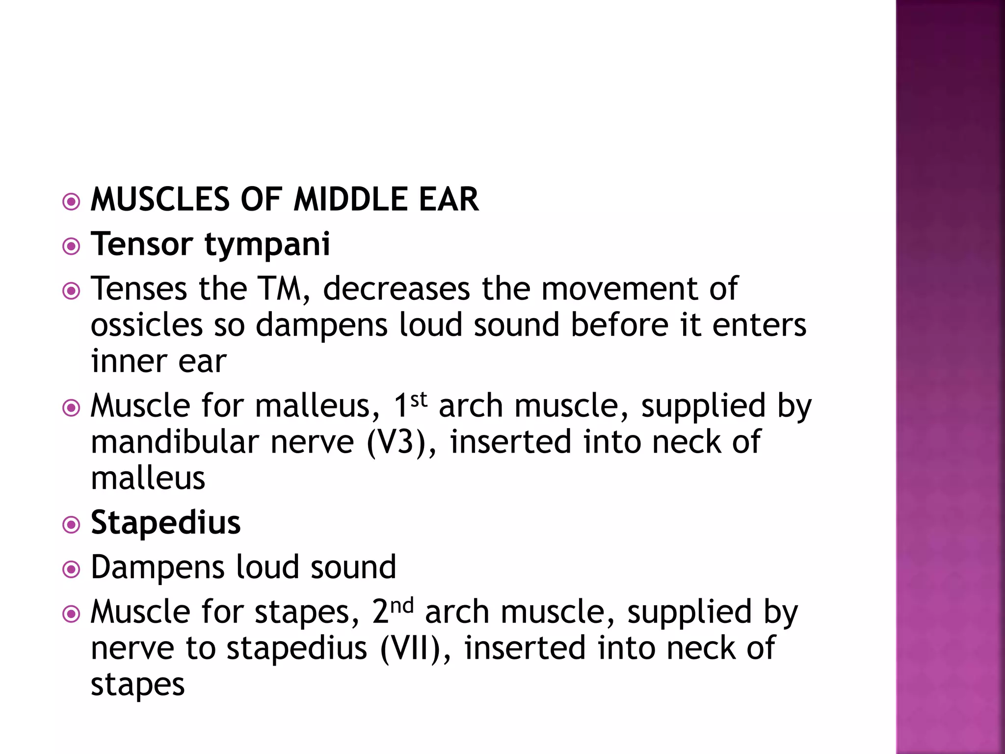 Anatomy of ear | PPTX