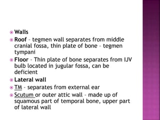 Anatomy of ear | PPTX