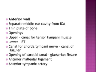 Anatomy of ear | PPTX