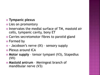 Anatomy of ear | PPTX