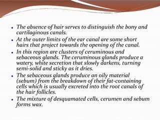 Anatomy of ear by dr. bomkar bam (MS) ent | PPTX