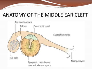 Anatomy of ear by dr. bomkar bam (MS) ent | PPTX
