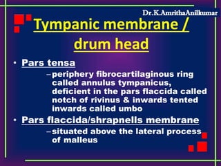 Anatomy of ear by Dr.K.AmrithaAnilkumar | PPTX