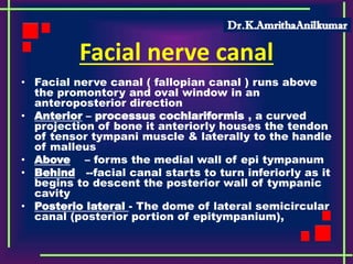 Anatomy of ear by Dr.K.AmrithaAnilkumar | PPTX