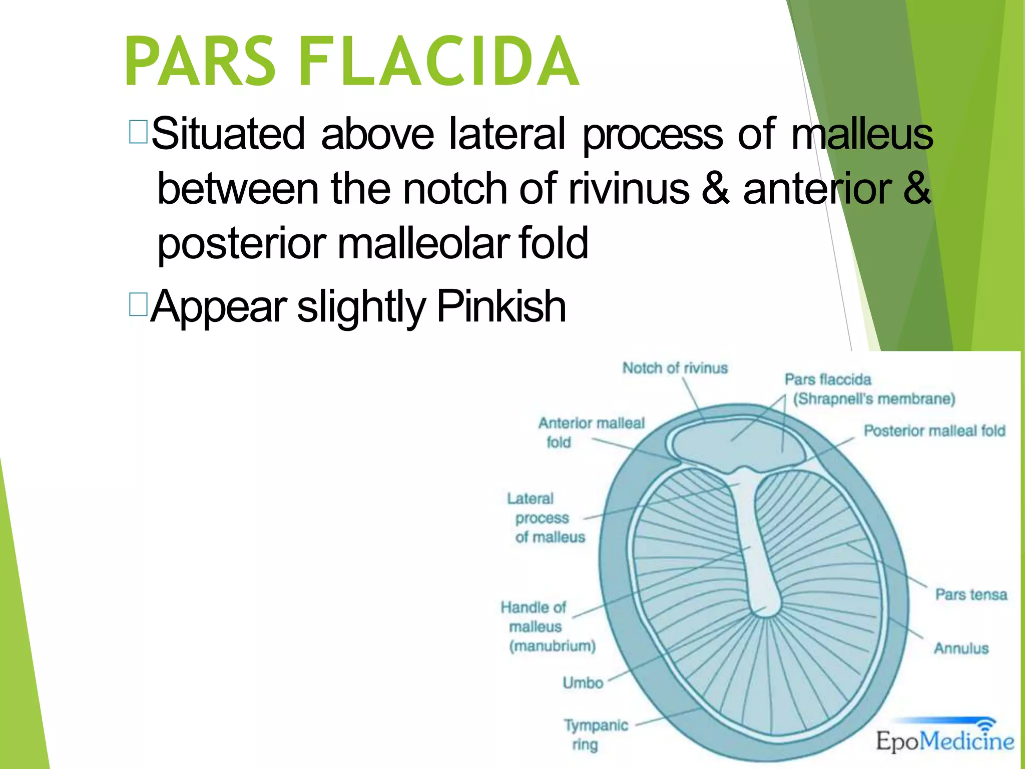 Anatomy of ear | PPTX
