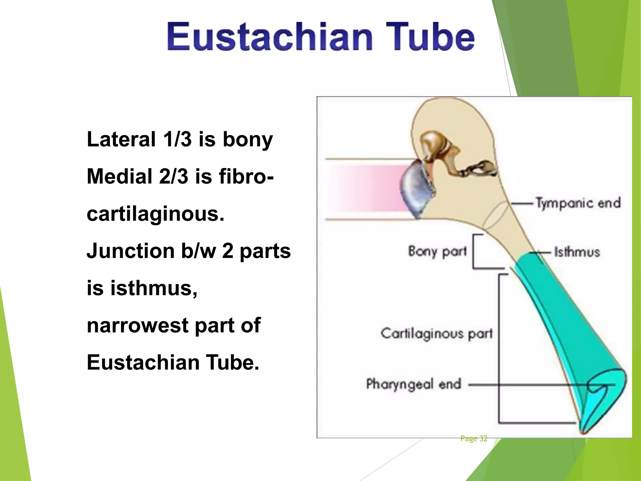 Anatomy of ear | PPTX