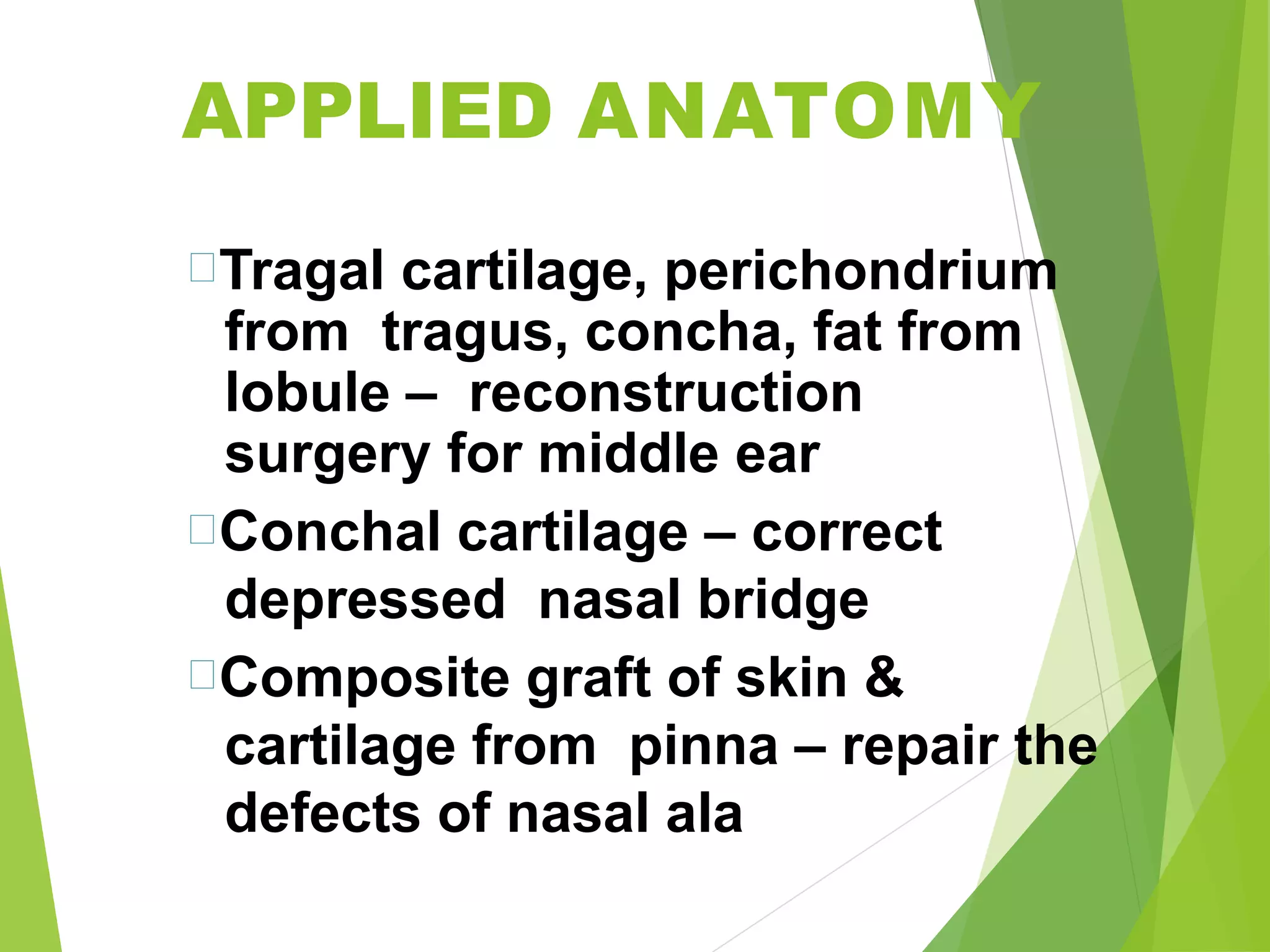 Anatomy of ear | PPTX