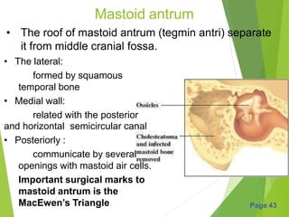 Anatomy of ear | PPTX