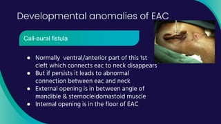 Anatomy of ear | PPTX