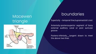 Anatomy of ear | PPTX