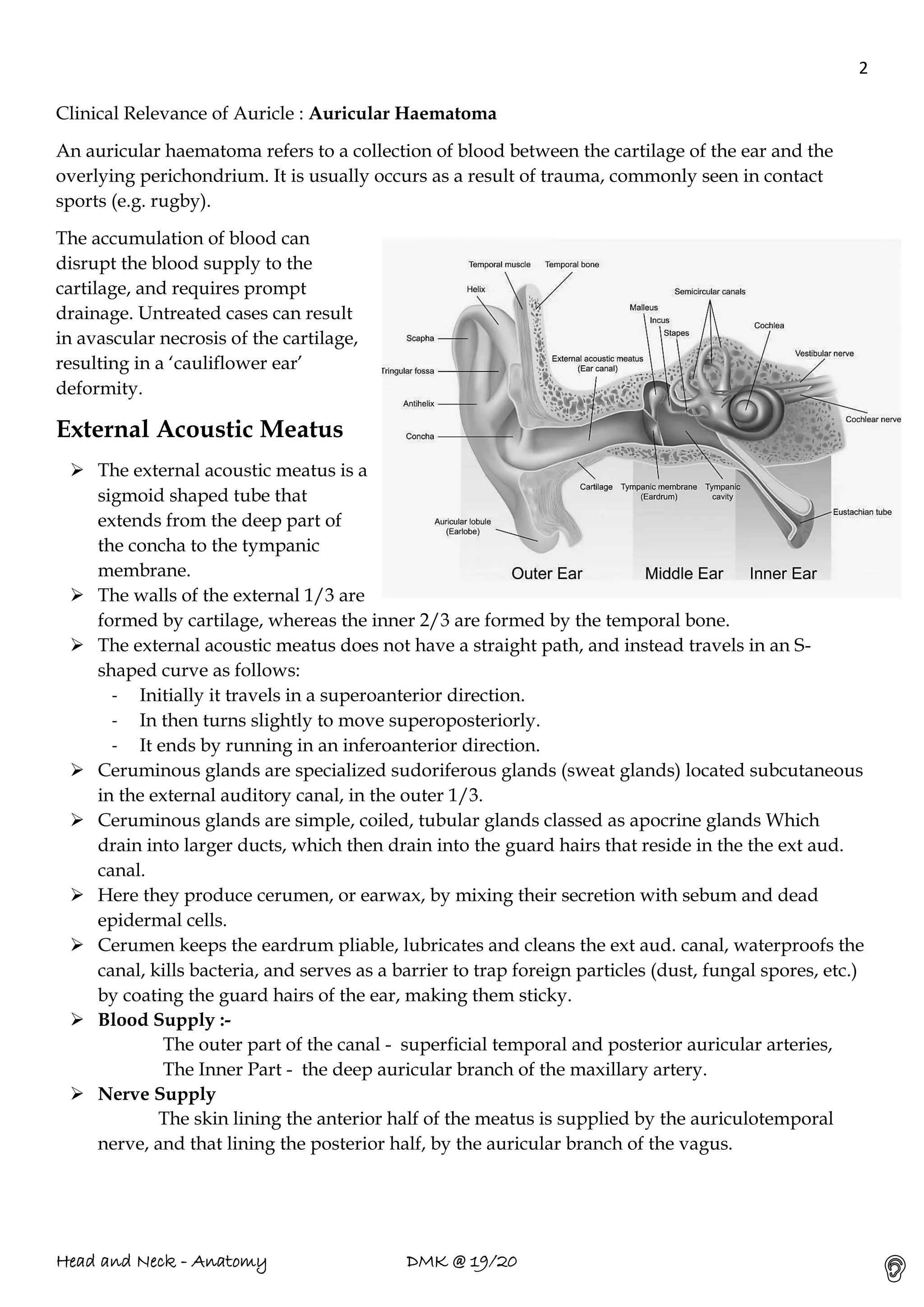 Anatomy Of Ear.pdf