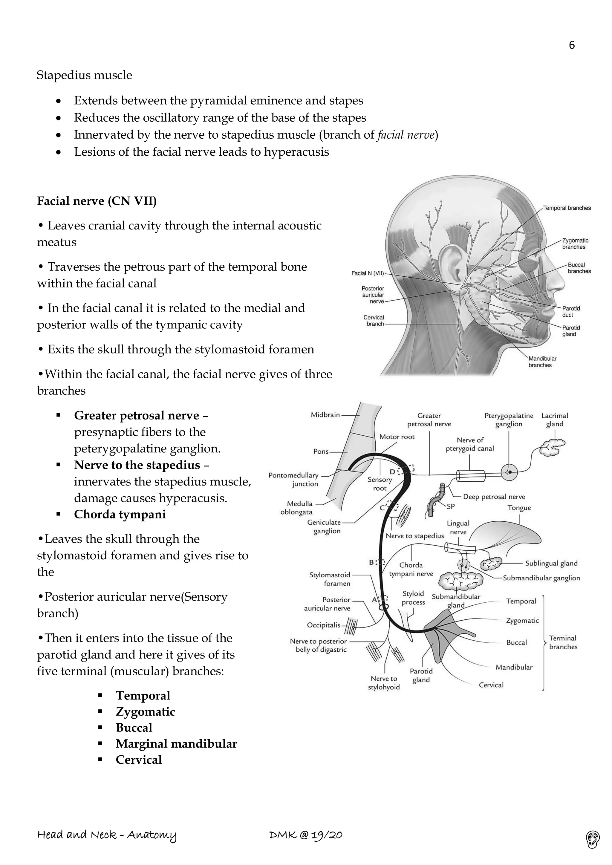 Anatomy Of Ear.pdf