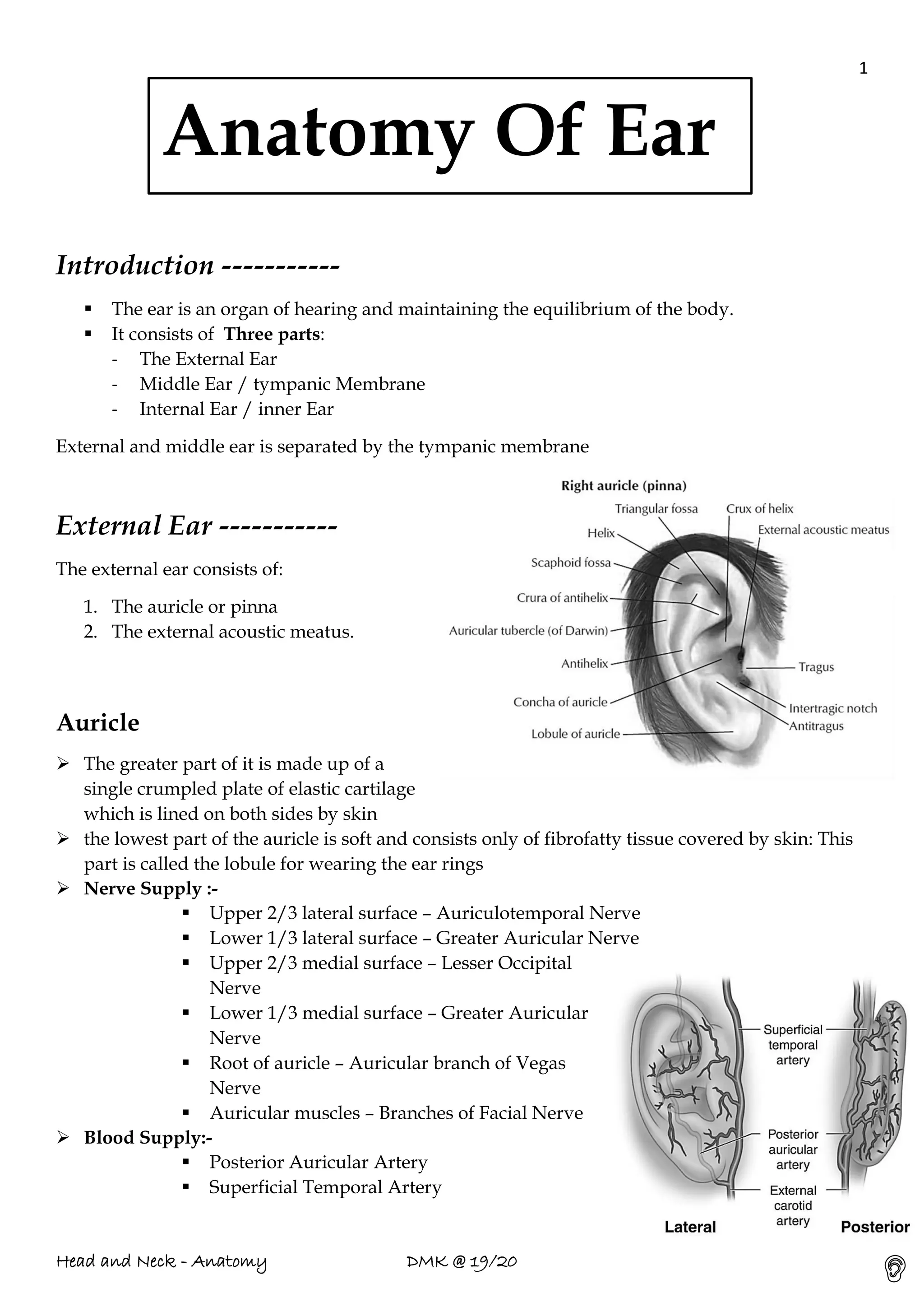 Anatomy Of Ear.pdf