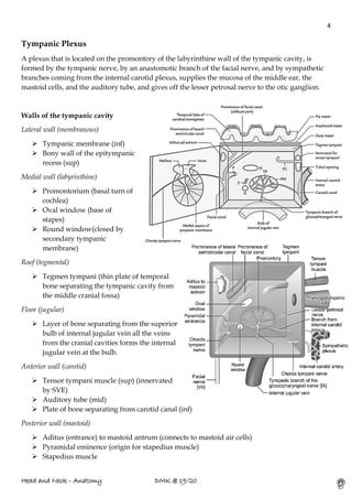 Anatomy Of Ear.pdf